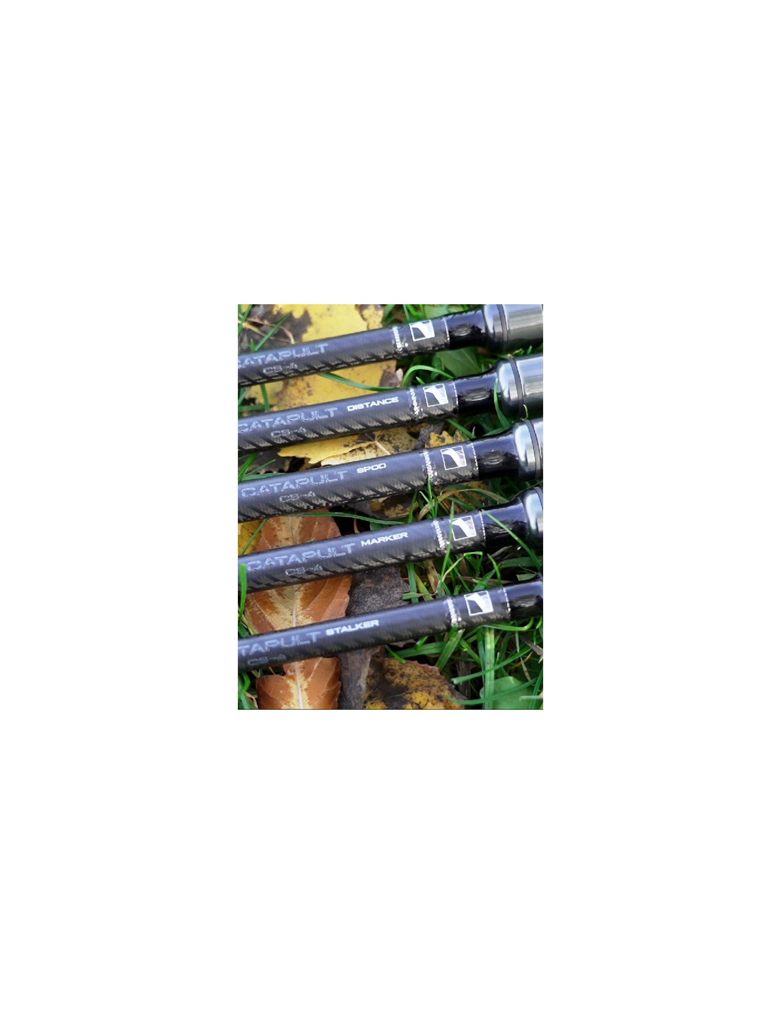 Caña Carpfishing Sportex "Catapult Carp CS-4" - 12' - 3.5lb